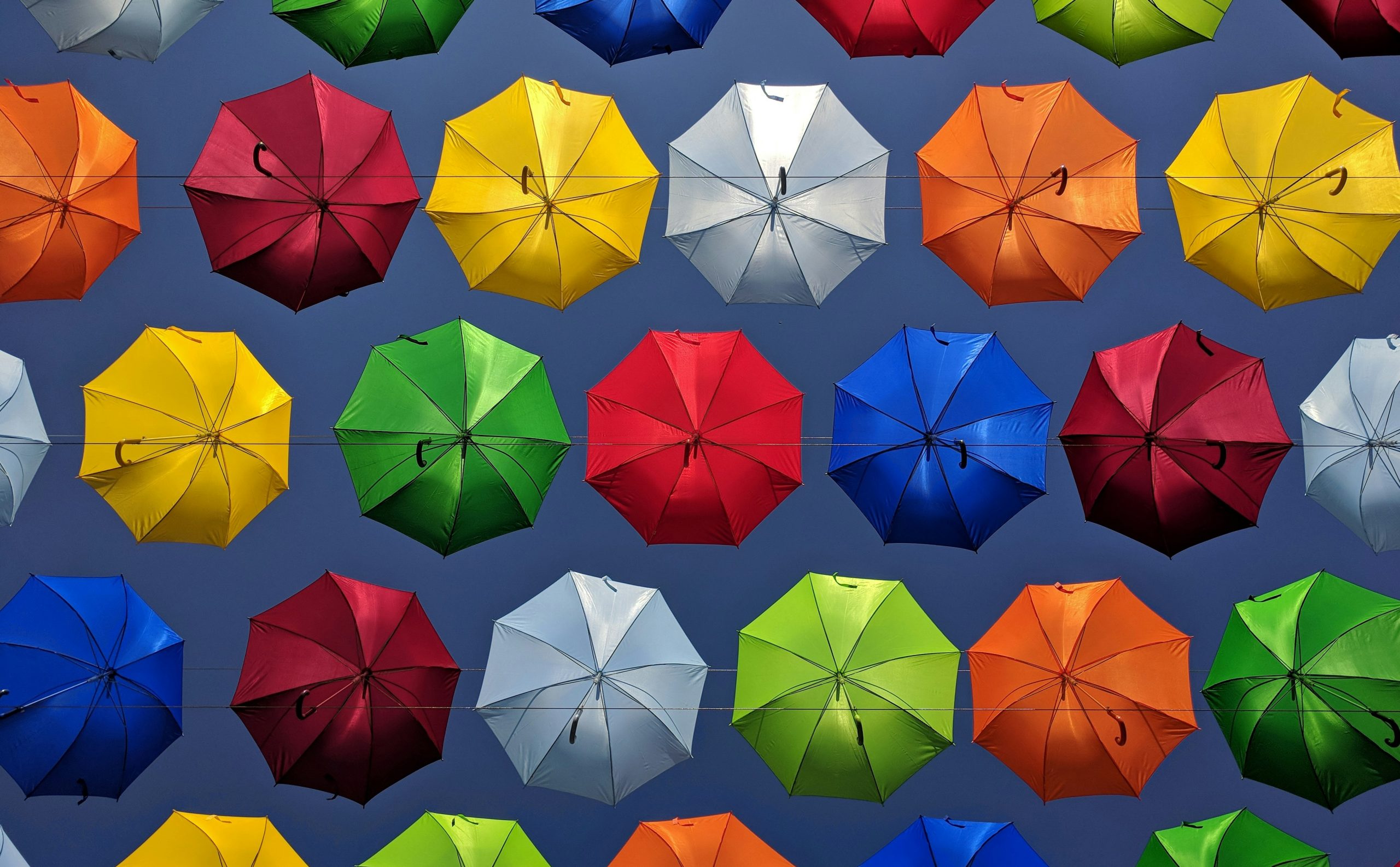 Why Branded Umbrellas Are In Demand Again Among Businesses